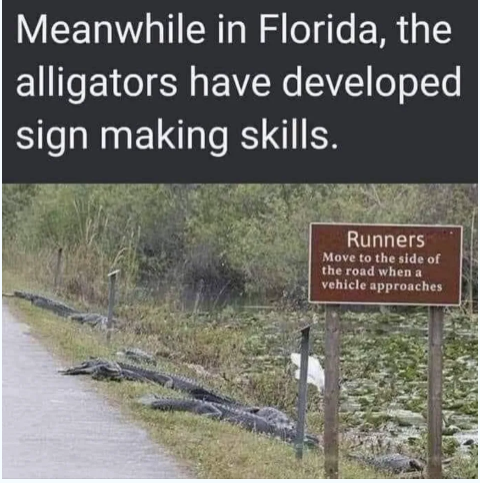 Alligators Develop Sign Making Skills - BillLawrenceOnline