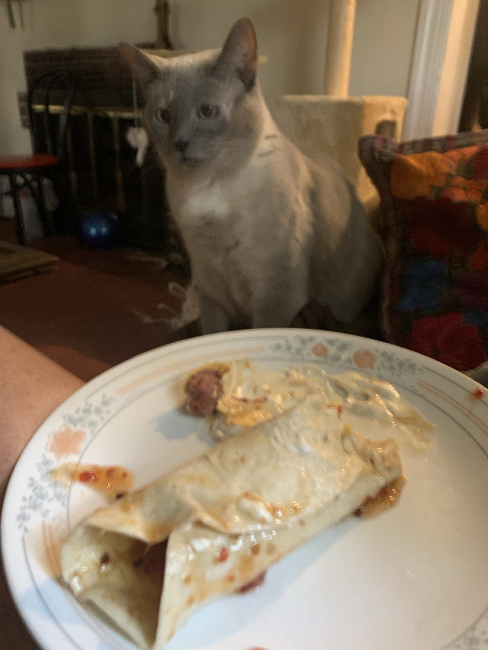 Hot Dog Burrito - BillLawrenceOnline